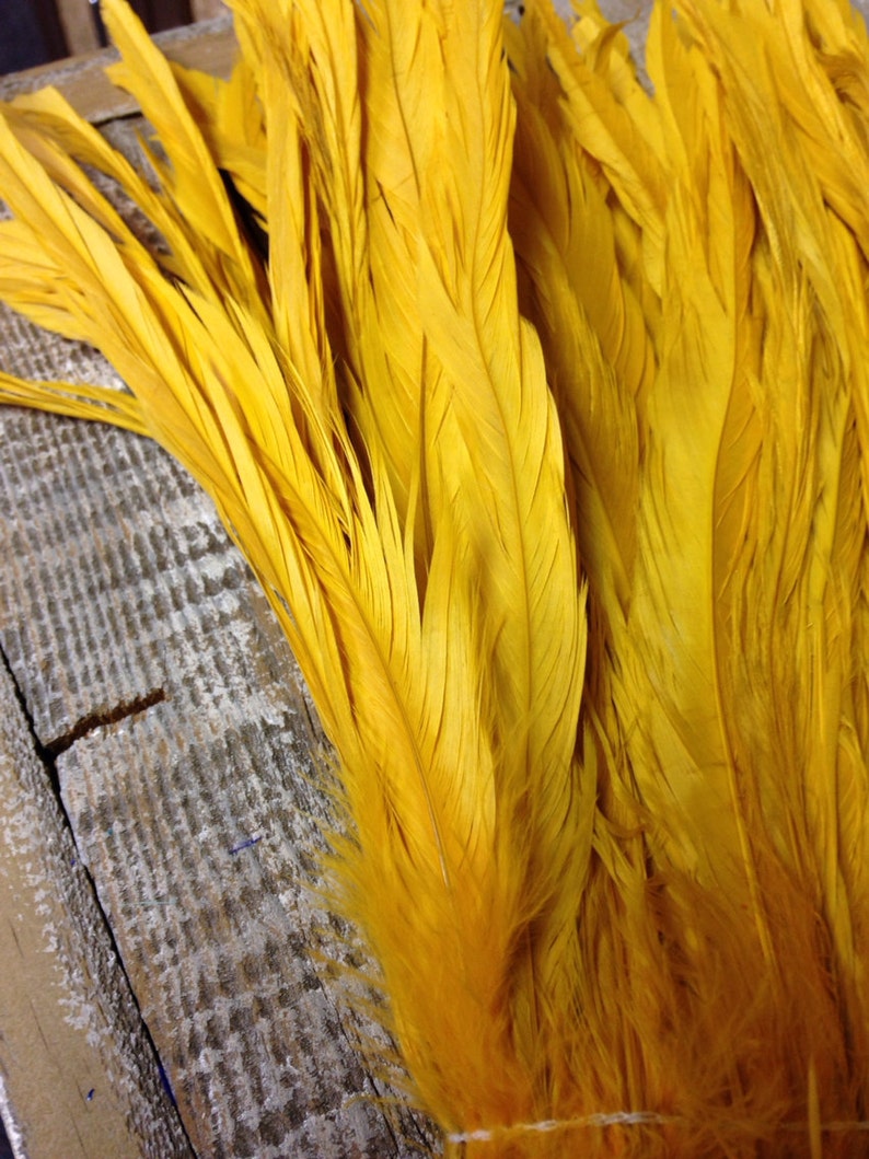 Gelber Hahn Federn 1 Fuß 8-10 Schwanzfedern - Etsy.de