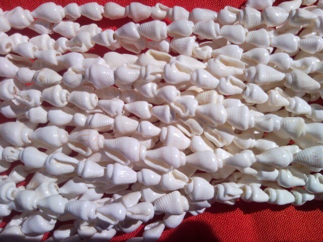 Long White Dovetail Shell Necklaces - Etsy