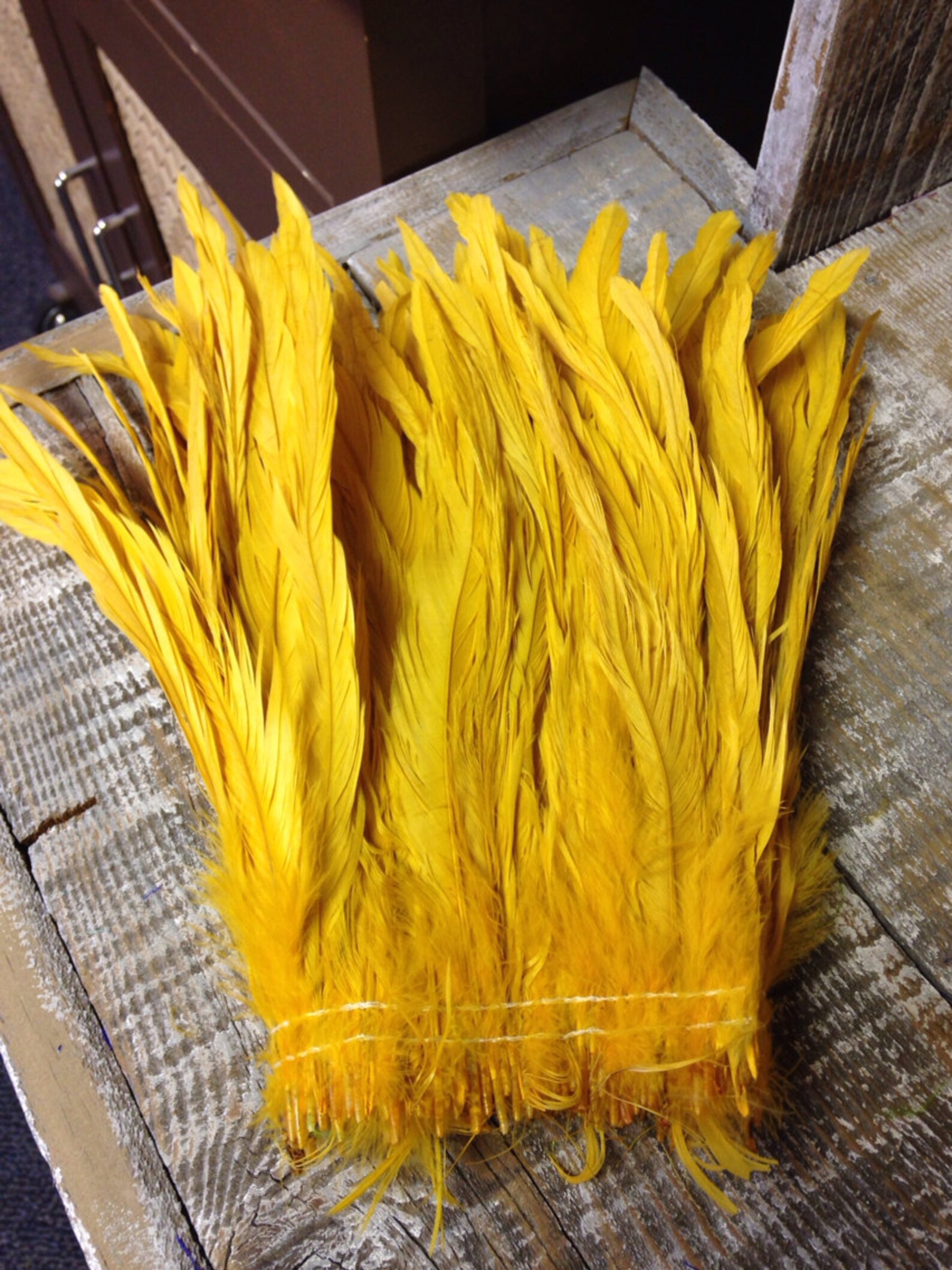 Gelber Hahn Federn 1 Fuß 8-10 Schwanzfedern - Etsy.de