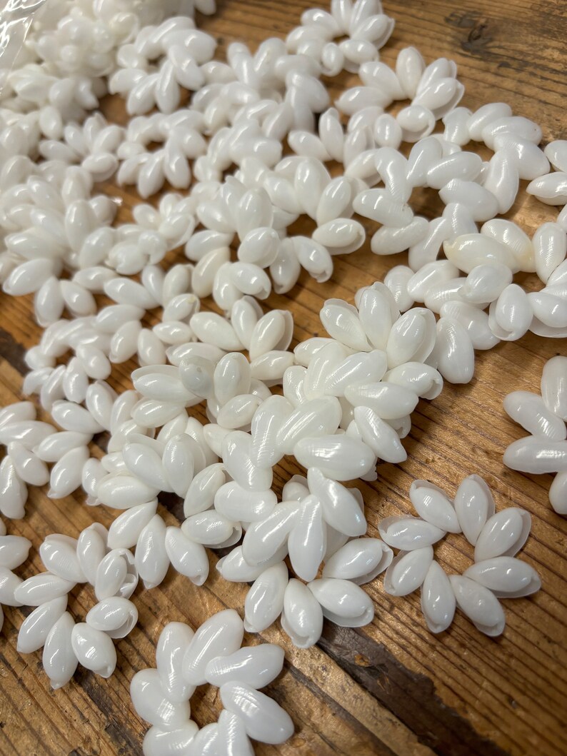 White Bubble Shell Rings - Etsy