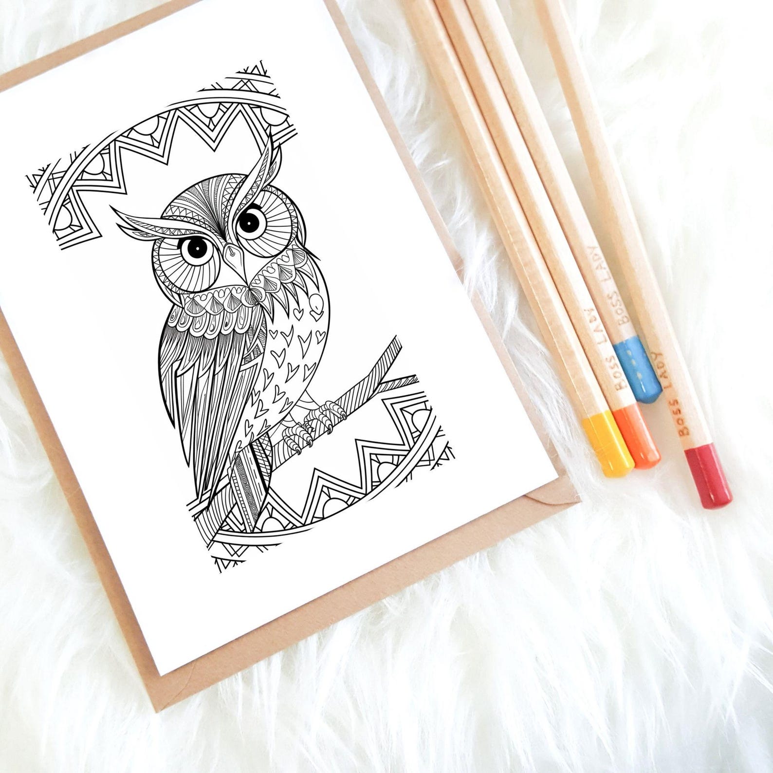 Zentangle Owl Coloring Page Wisdom Bird Adult Coloring Mindfulness Art ...