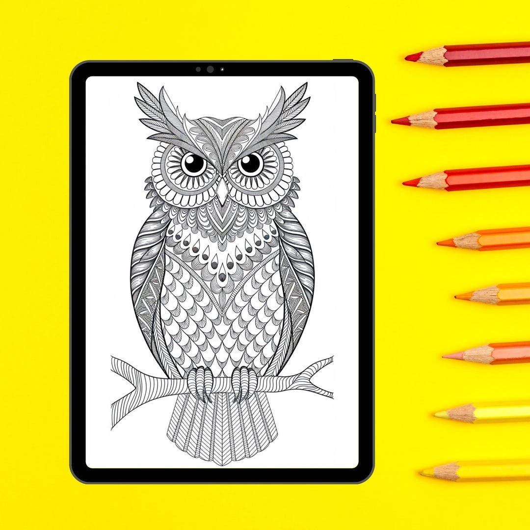 Zentangle Owl Coloring Page Wisdom Bird Adult Coloring Mindfulness Art ...