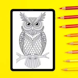 Zentangle Owl Coloring Page Wisdom Bird Adult Coloring Mindfulness Art ...