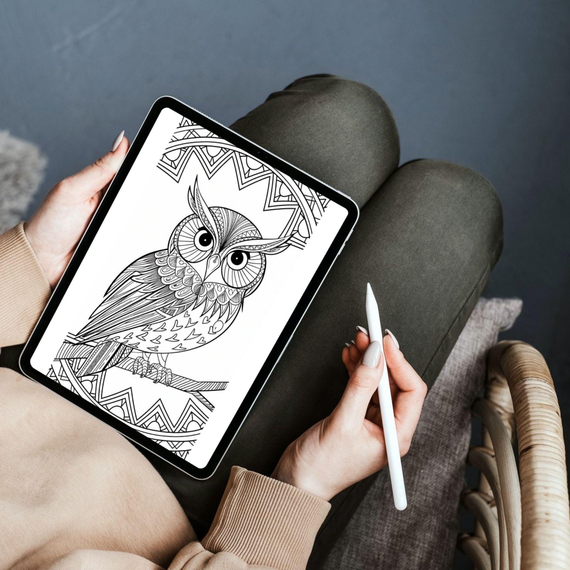 Zentangle Owl Coloring Page Wisdom Bird Adult Coloring Mindfulness Art ...