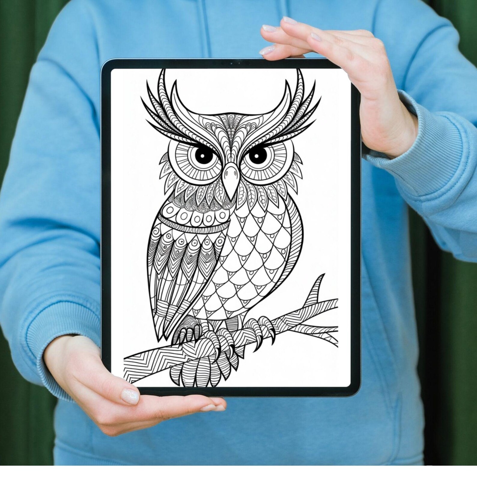 Zentangle Owl Coloring Page Wisdom Bird Adult Coloring Mindfulness Art ...