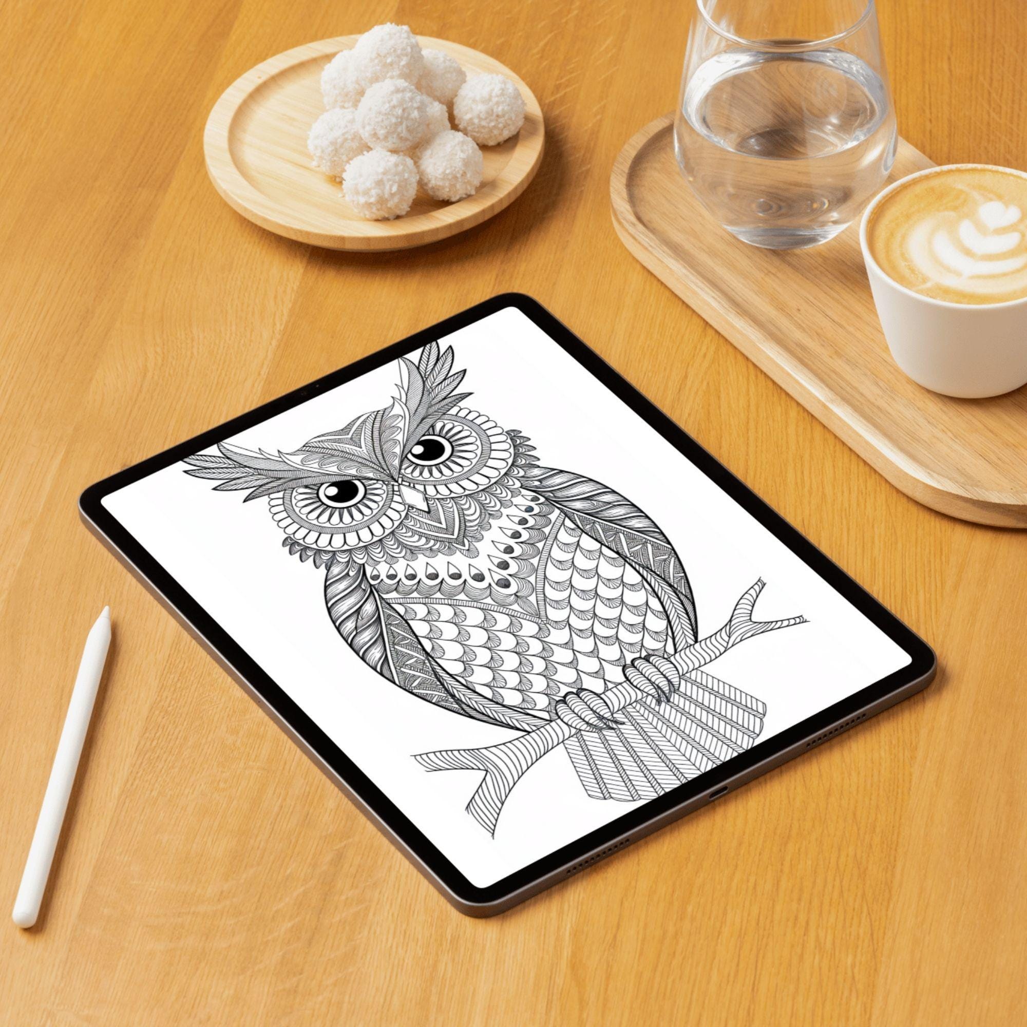Zentangle Owl Coloring Page Wisdom Bird Adult Coloring Mindfulness Art ...