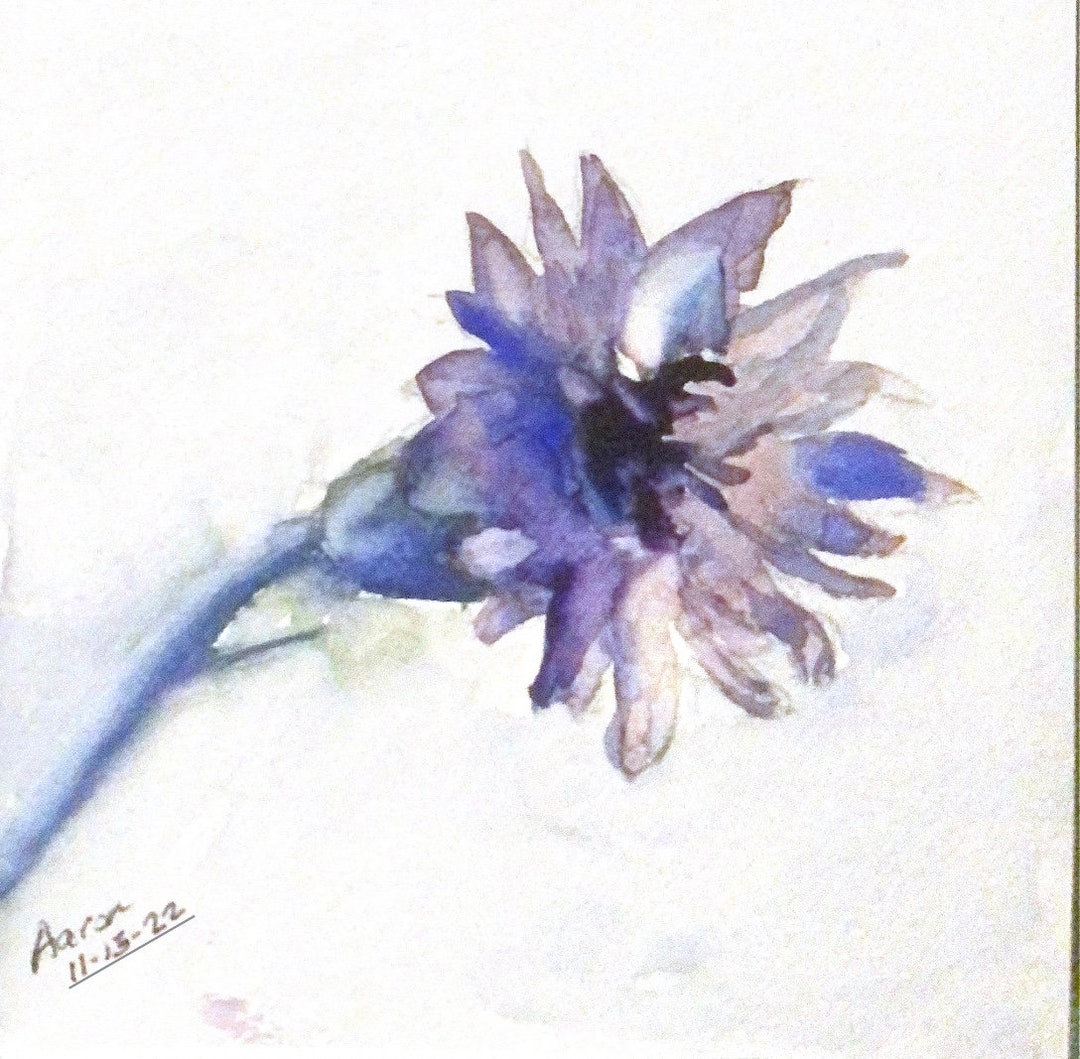 Cornflower Watercolor, 5x7 Fine Art Print - Etsy