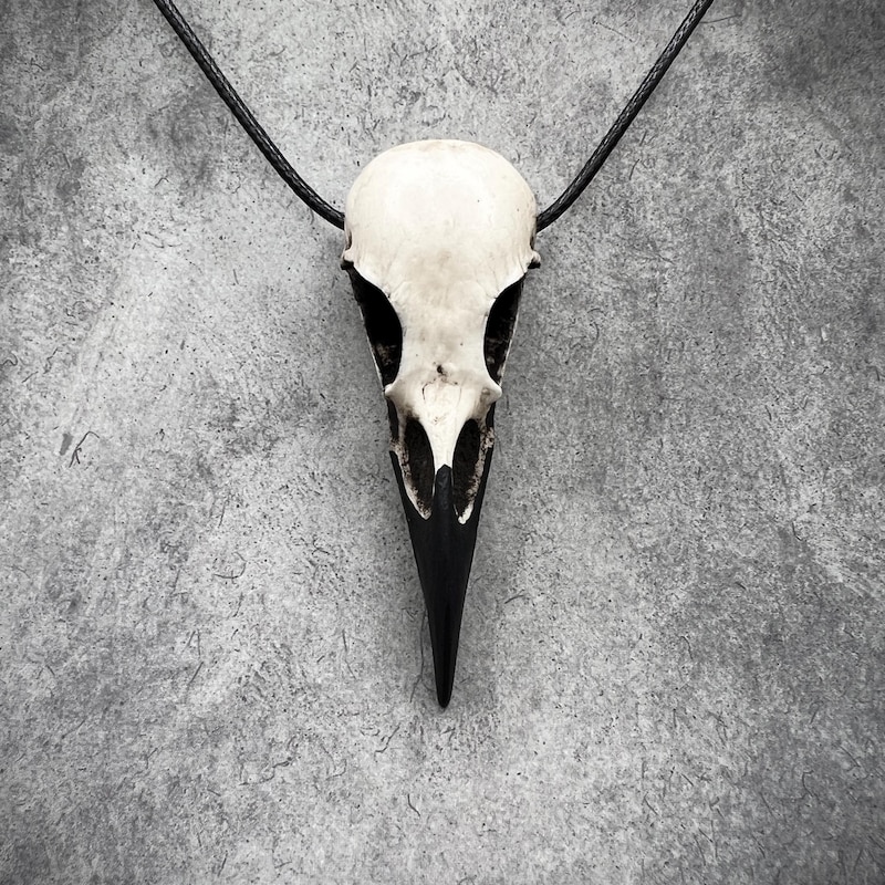 Viking Raven Skull Gifts - 60+ Gift Ideas for 2026