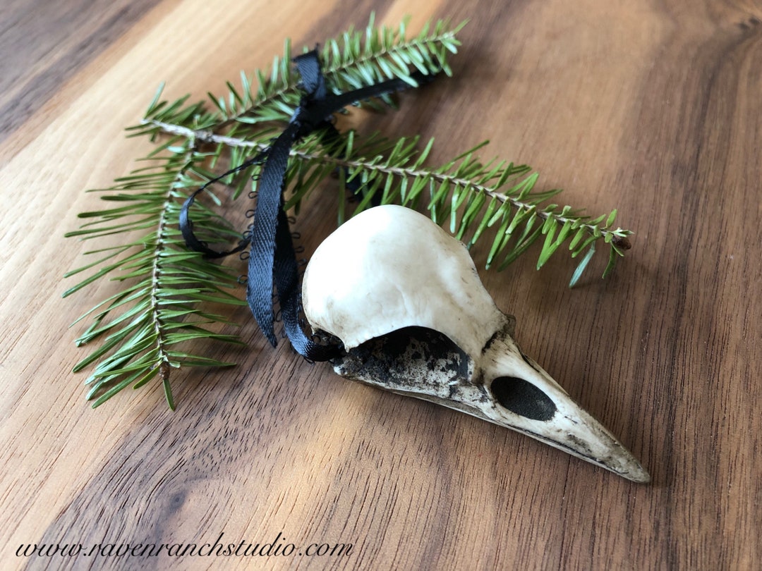Crow Skull Christmas Tree Ornament, Yule, Bird Skull Gothic Holiday ...