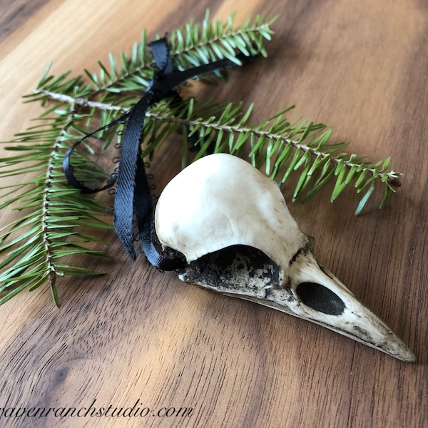 Skull Ornament - Etsy
