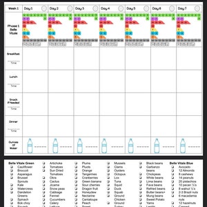 Plan D Belle Vitale 12 Week Meal Planner - Etsy