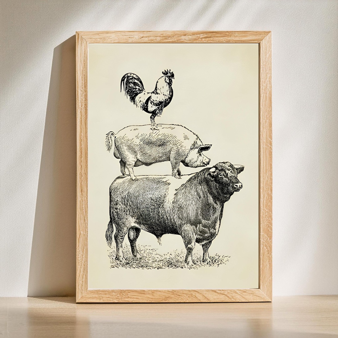Farm Poultry Cow Pig Chicken Poster Print, Vintage French Country ...
