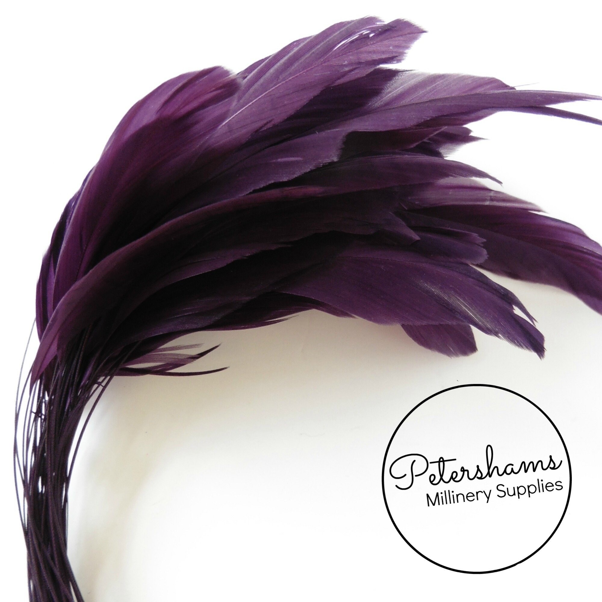 Loose Stripped Coque Feathers pack of 10 for Millinery & | Etsy