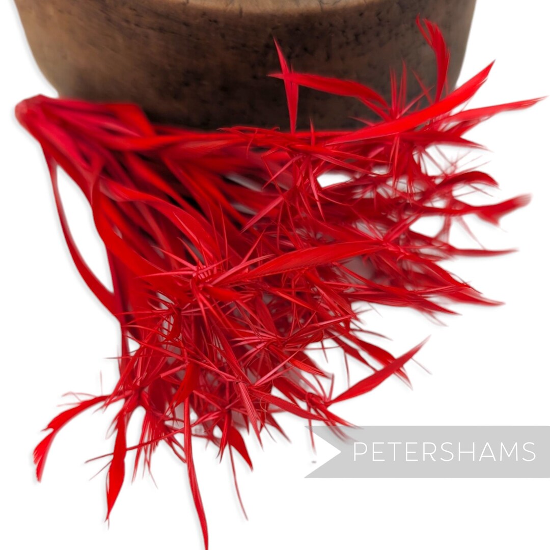 Firework Goose Biot Feather Mount for Millinery, Hat Making ...