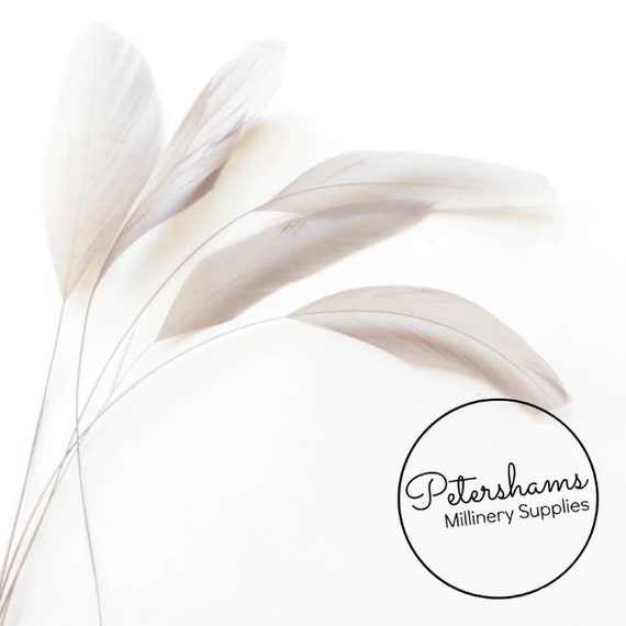 Loose Stripped Coque Feathers pack of 10 for Millinery & - Etsy