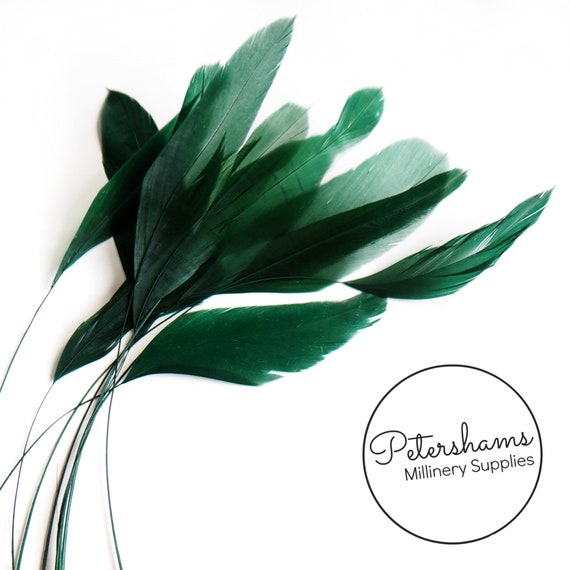 Loose Stripped Coque Feathers pack of 10 for Millinery & | Etsy