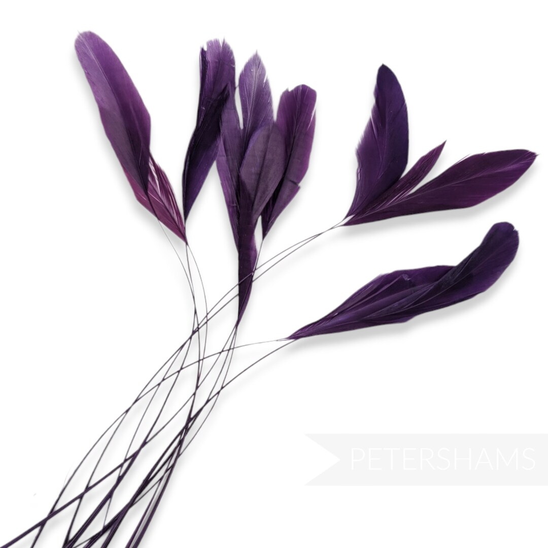 Loose Stripped Coque Feathers (pack of 10) for Millinery & Fascinators ...