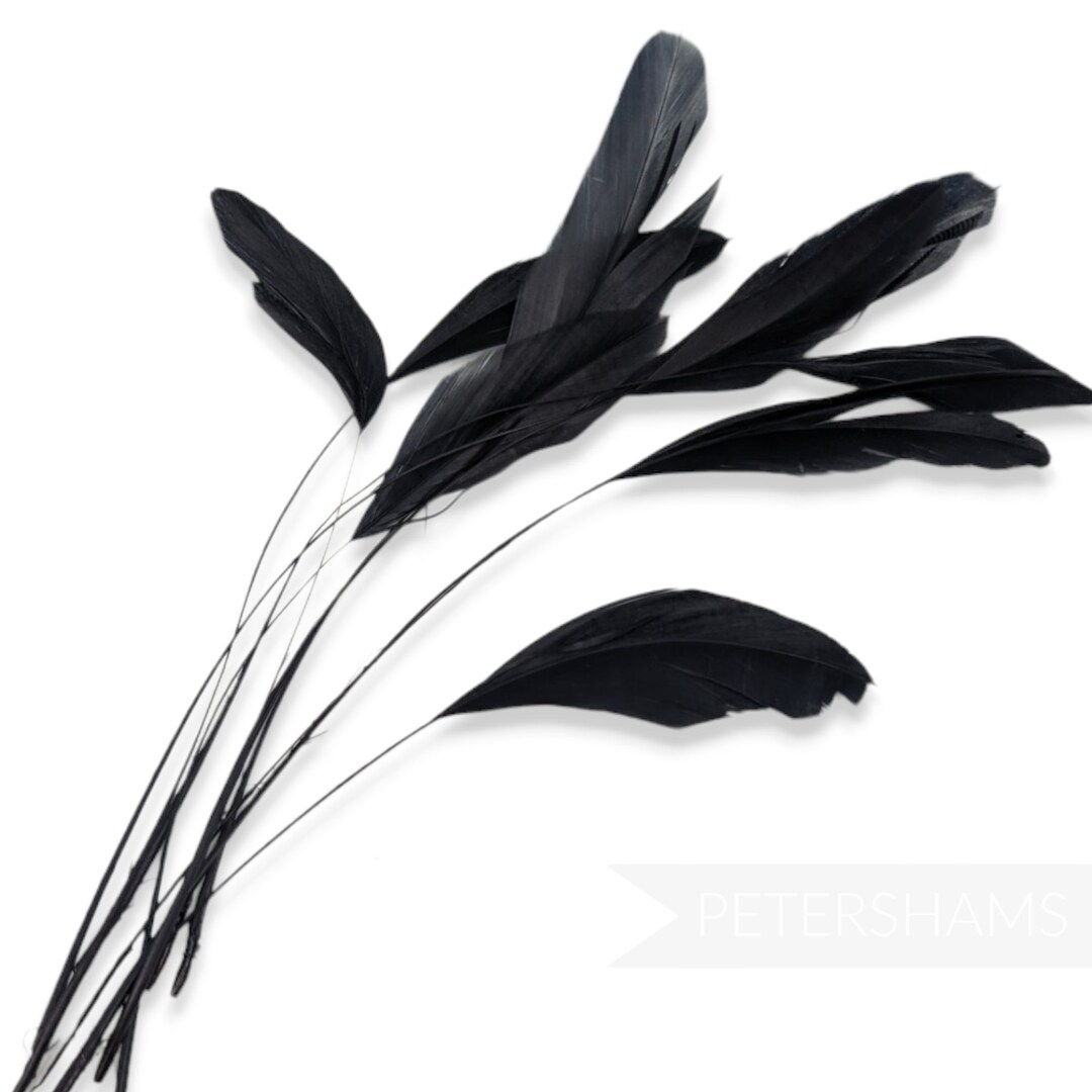 Black Loose Stripped Coque Feathers for Millinery & Fascinators (pack ...
