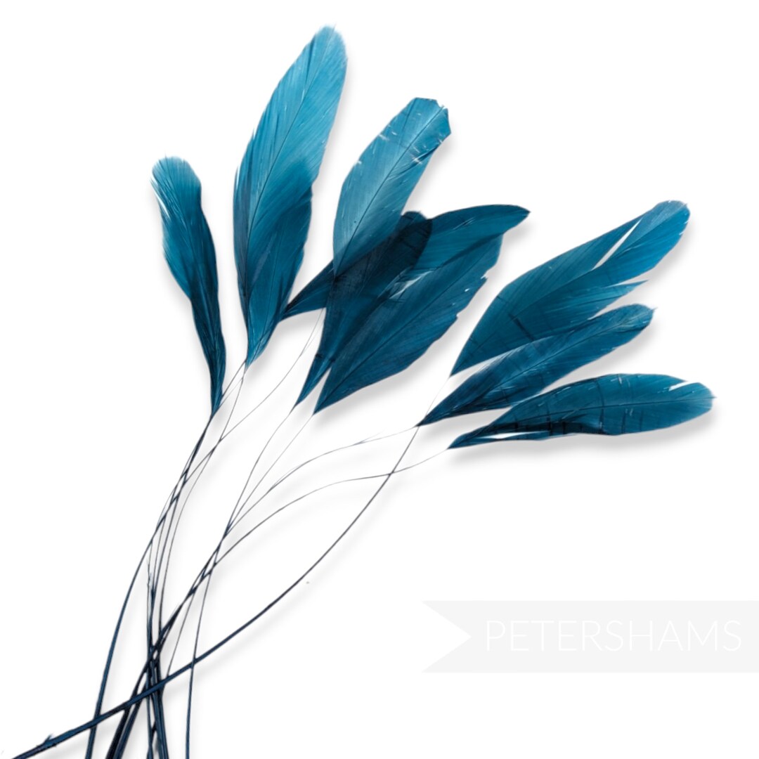 Loose Stripped Coque Feathers (pack of 10) for Millinery & Fascinators ...