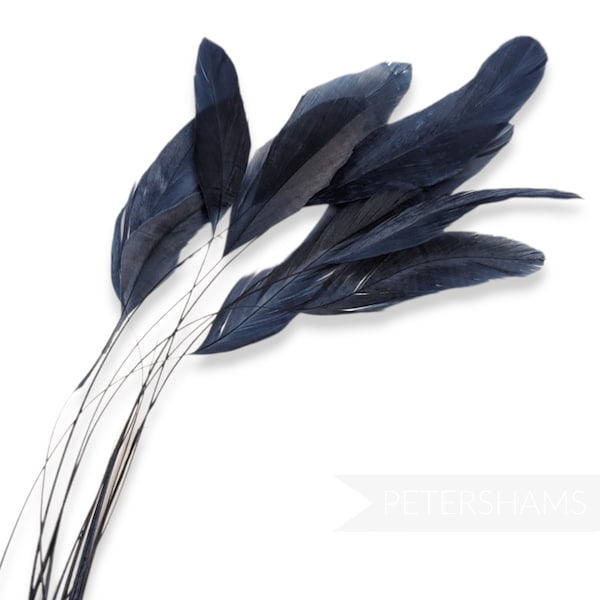 Navy Blue Feathers - Etsy