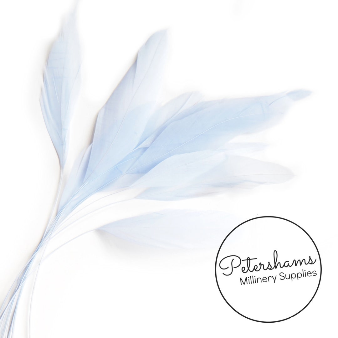 Loose Stripped Coque Feathers pack of 10 for Millinery & - Etsy