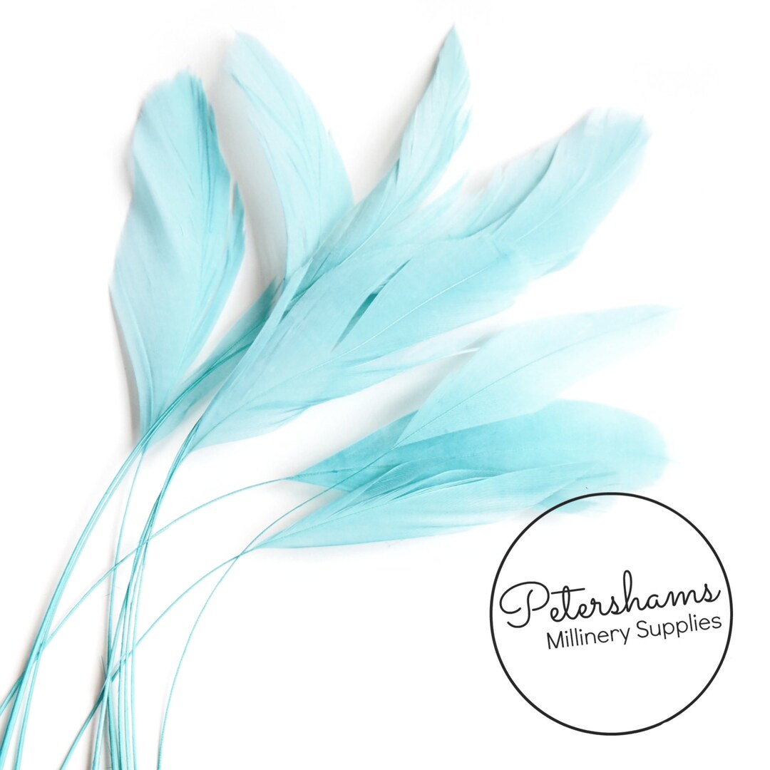 Loose Stripped Coque Feathers pack of 10 for Millinery & - Etsy