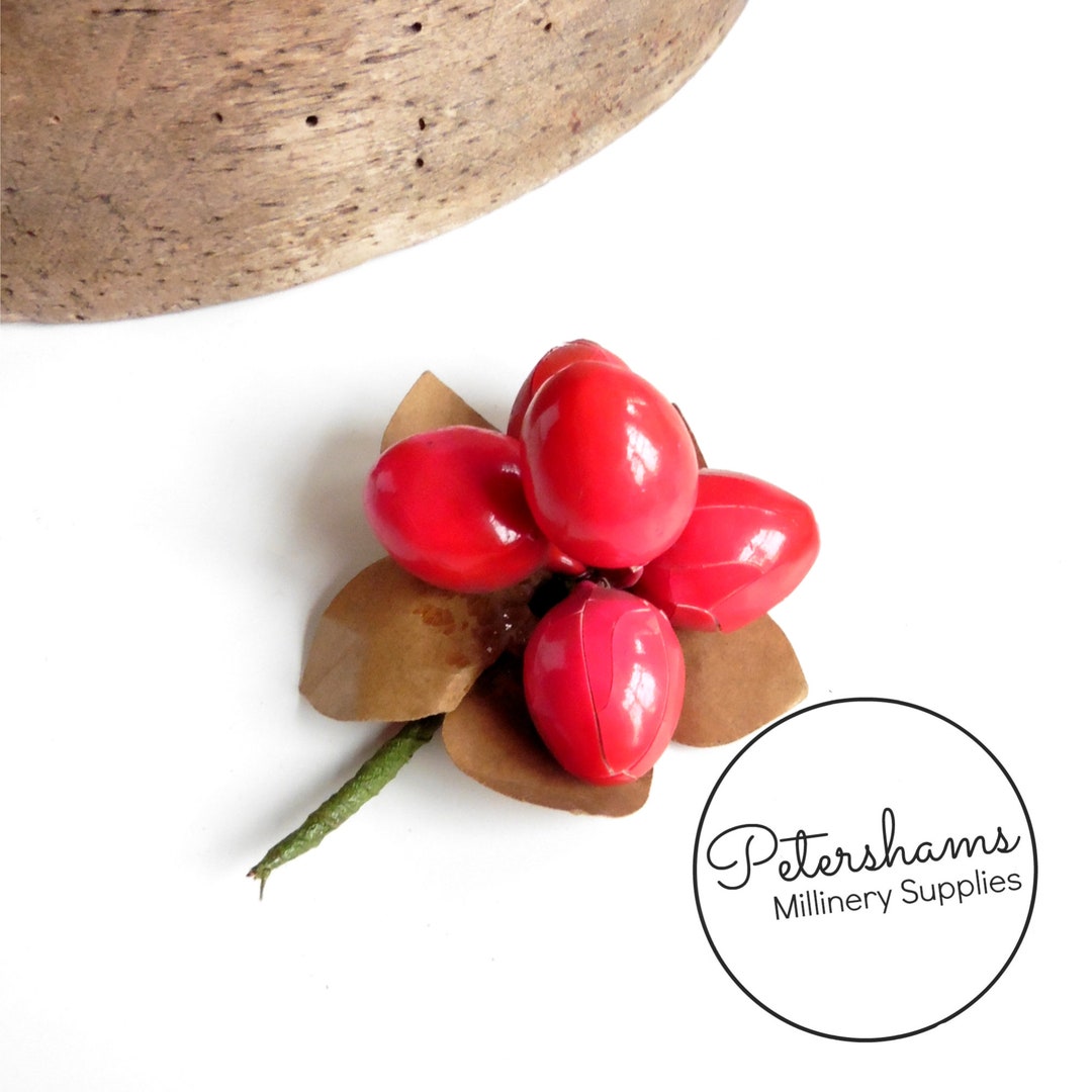 Small Crackle Berry Vintage 1940s Fruit Berry Mount Perfect for Hat ...