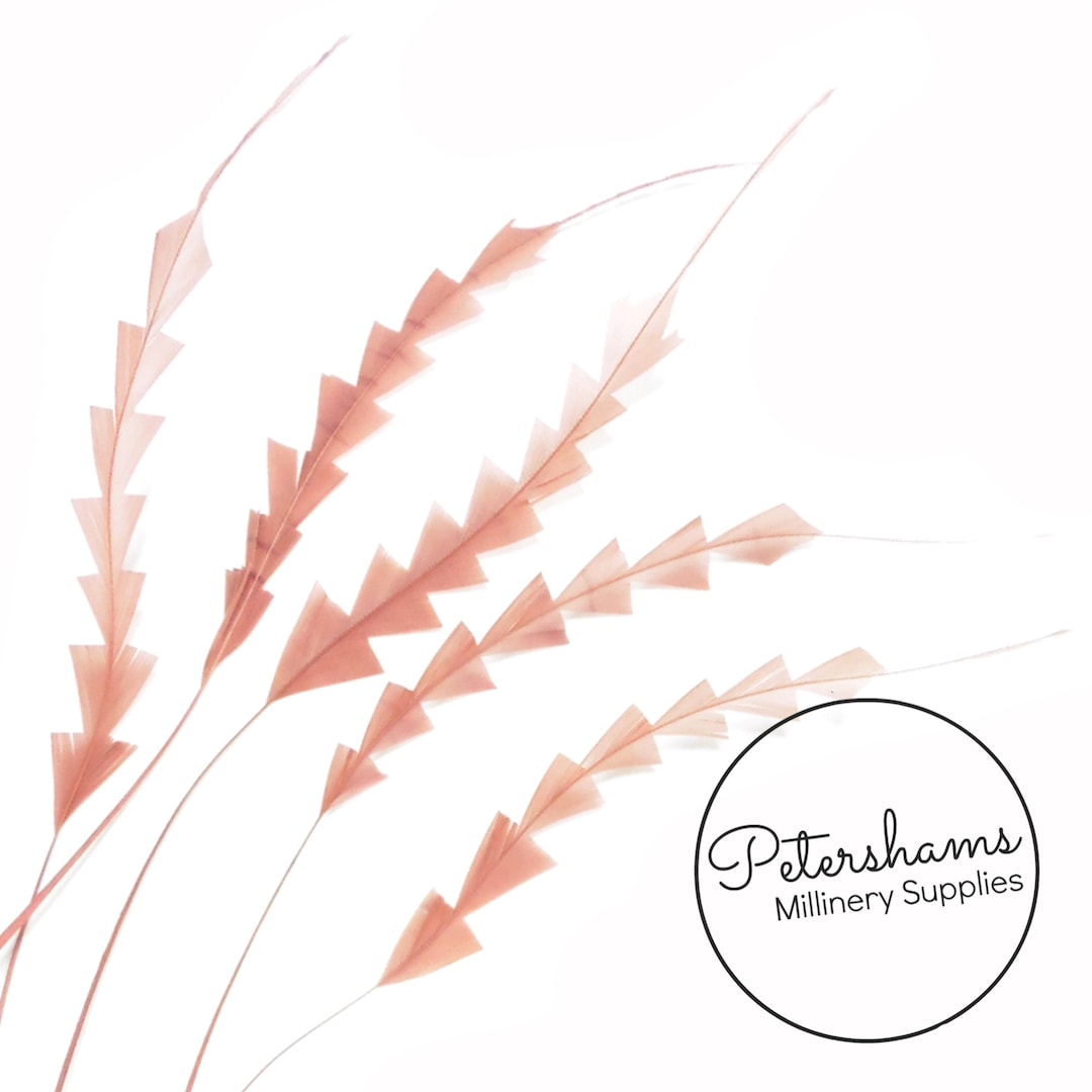 Zick-Zack Muschel-Feder 5er Pack für Hutmacher & Fascinators Blush ...