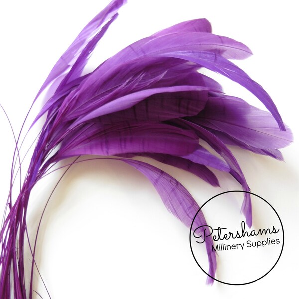 Purple Feathers - Etsy