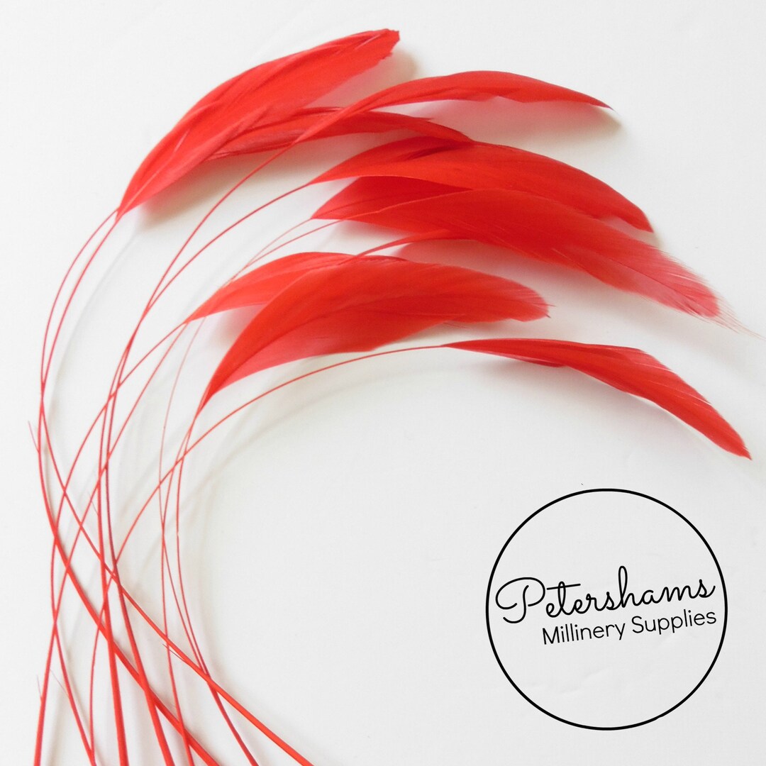 Loose Stripped Coque Feathers pack of 10 for Millinery & Fascinators ...