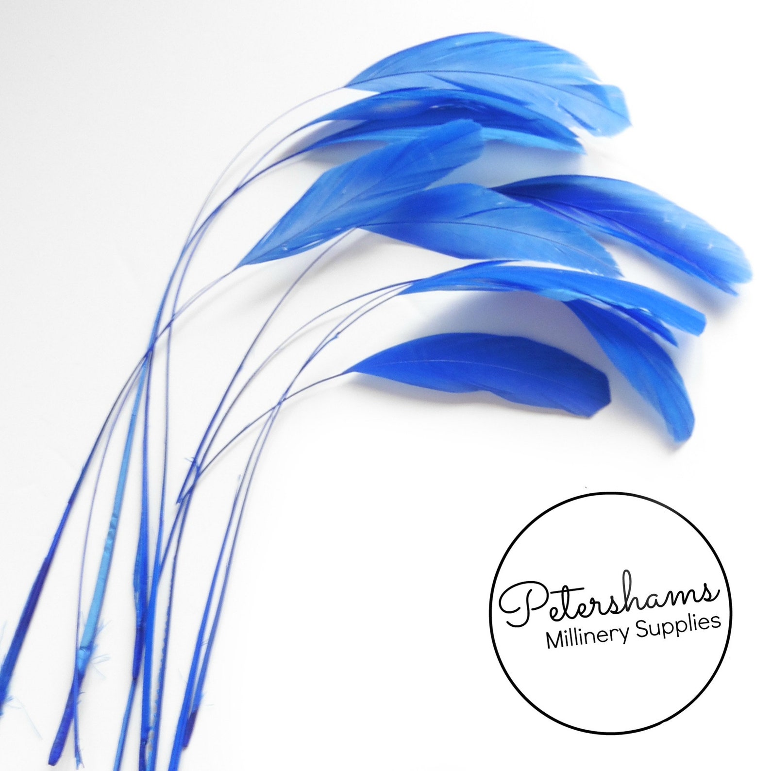 Loose Stripped Coque Feathers pack of 10 for Millinery & - Etsy