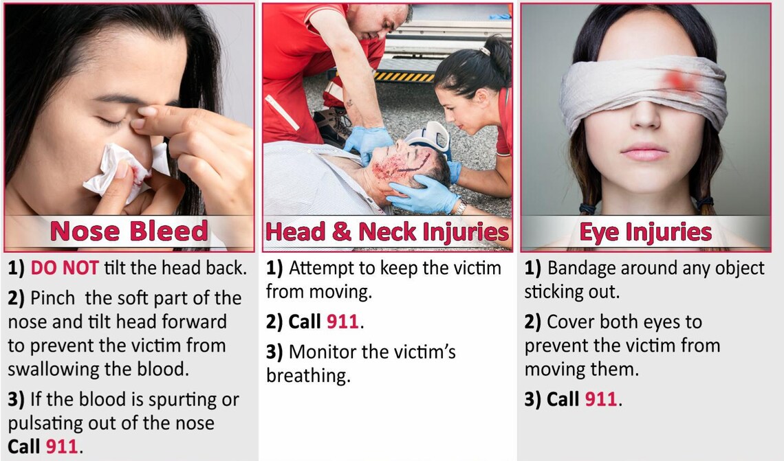 Ready to Respond: First Aid Emergency Preparedness Chart for Homes ...