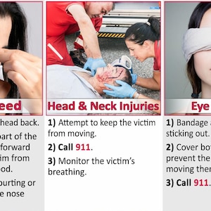 Ready to Respond: First Aid Emergency Preparedness Chart for Homes ...