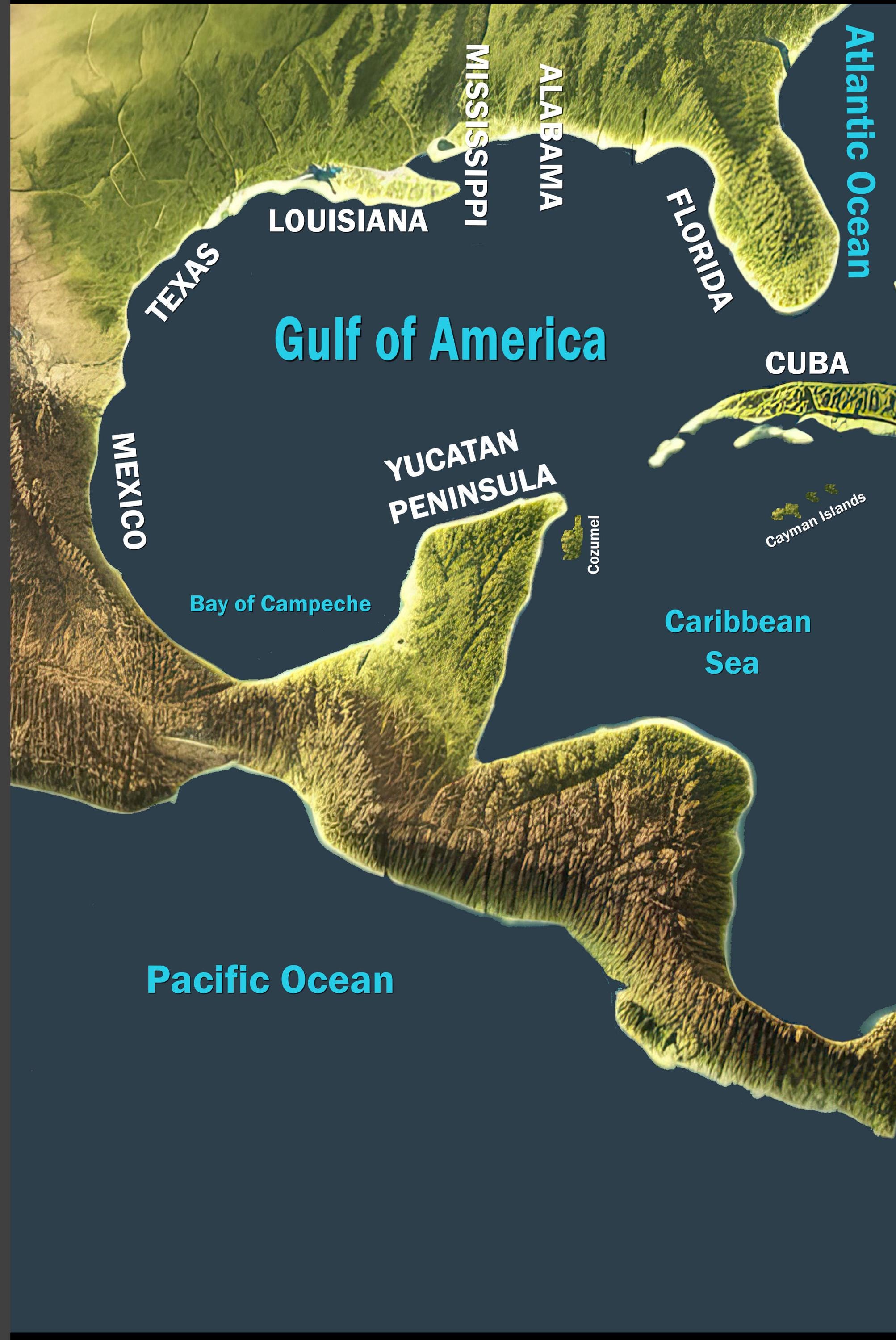 Map of the Gulf of America Framed Gulf Coast Map Nautical Gulf of ...