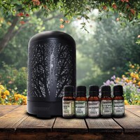 Natural Reed Diffuser Rosemary, Sage and Thyme Room Fragrance - Etsy