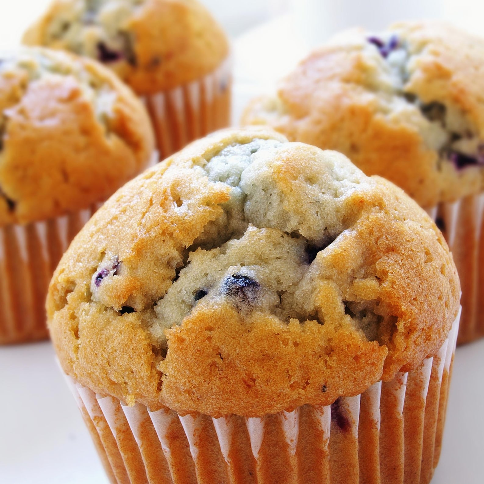 Freshly Baked Blueberry Muffins – Soft, Moist & Bursting With Real ...