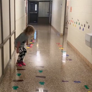 Sensory Path Leap Frogs and Logs Vinyl Sticker Decals School Hallway ...