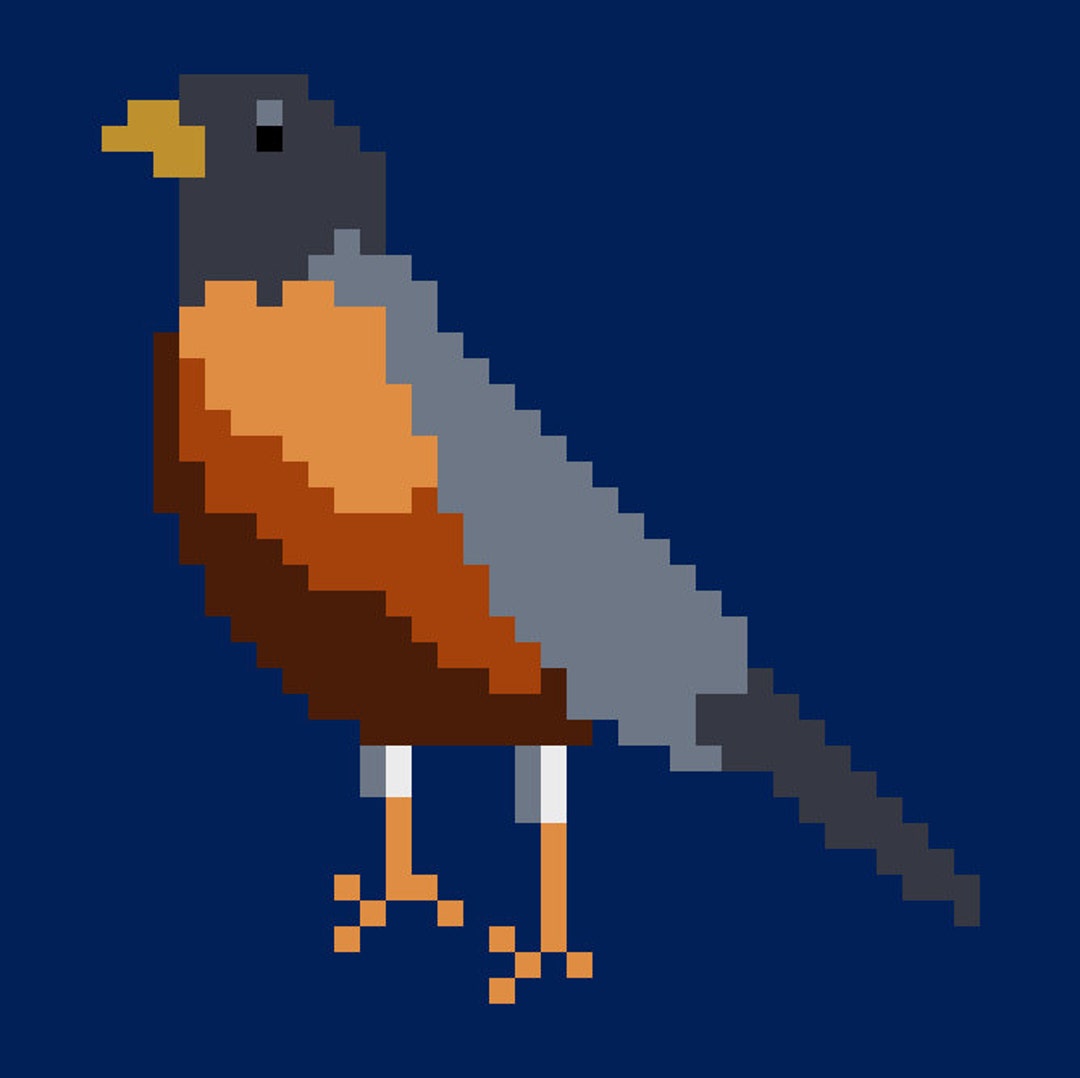 Robin Bird Cross Stitch Pattern - Etsy