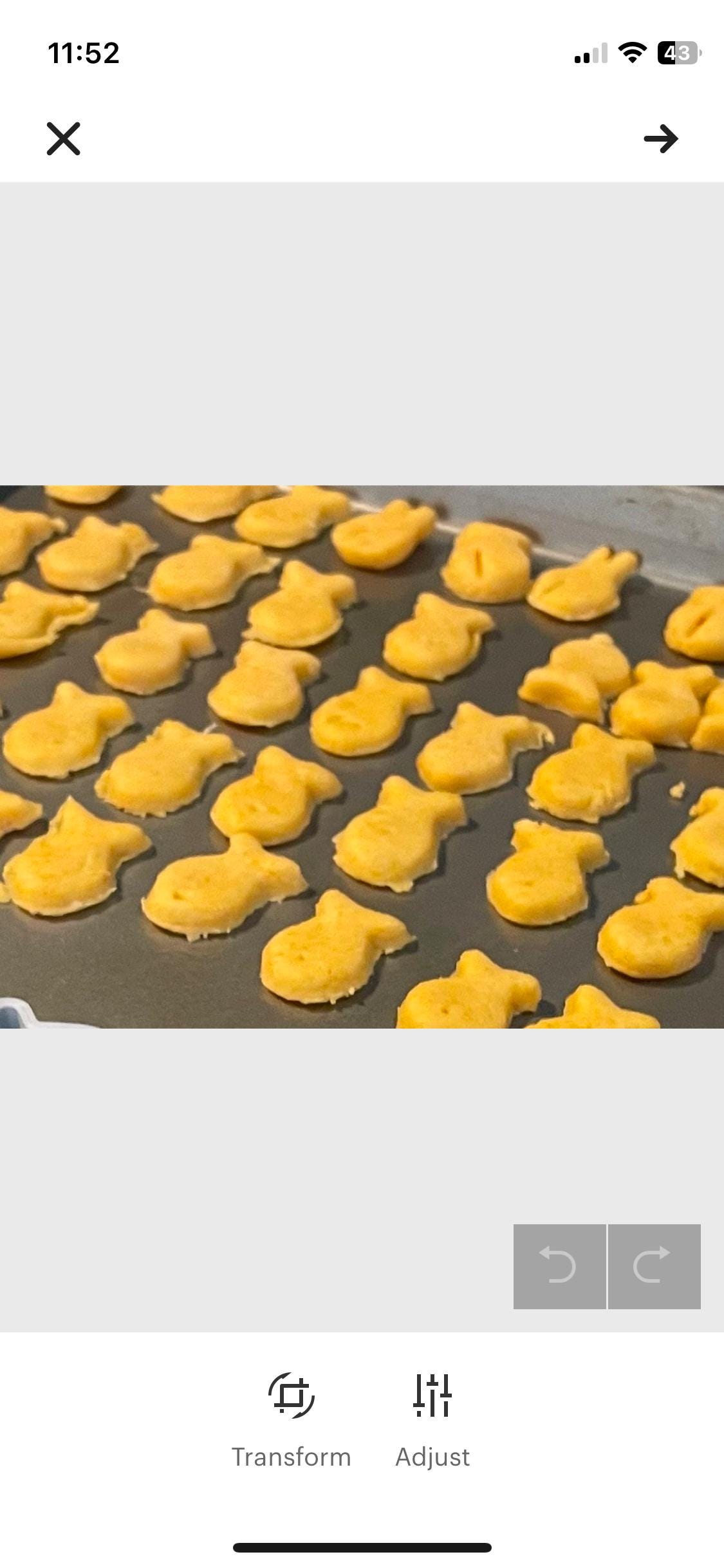 Goldfish Cracker Cutter, 3D Printed With Food Grade PLA - Etsy