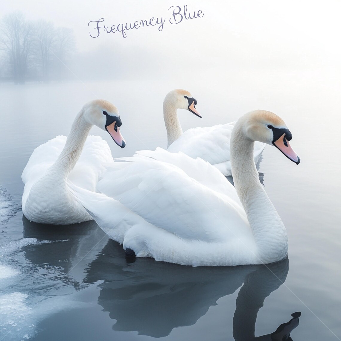 Swan Trio Digital Download, Elegant Water Birds Wall Art, Serene Lake ...