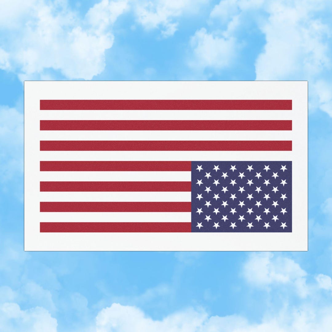 American Flag Anti Elon Tesla Bumper Car Magnet Sticker, Anti MAGA Car ...