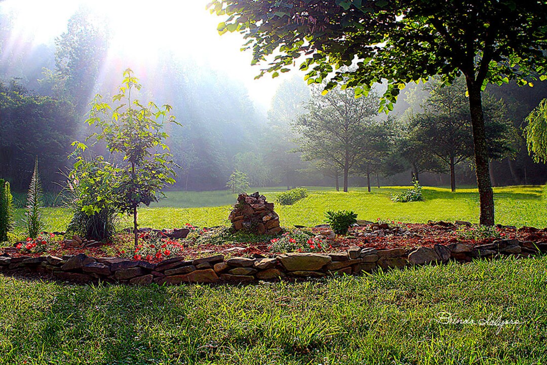 Kentucky Good Morning Glory Giclee Print on Fine Art Paper Canvas or ...