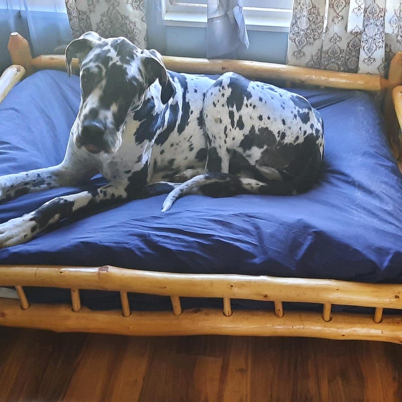 Wood Dog Beds - Etsy