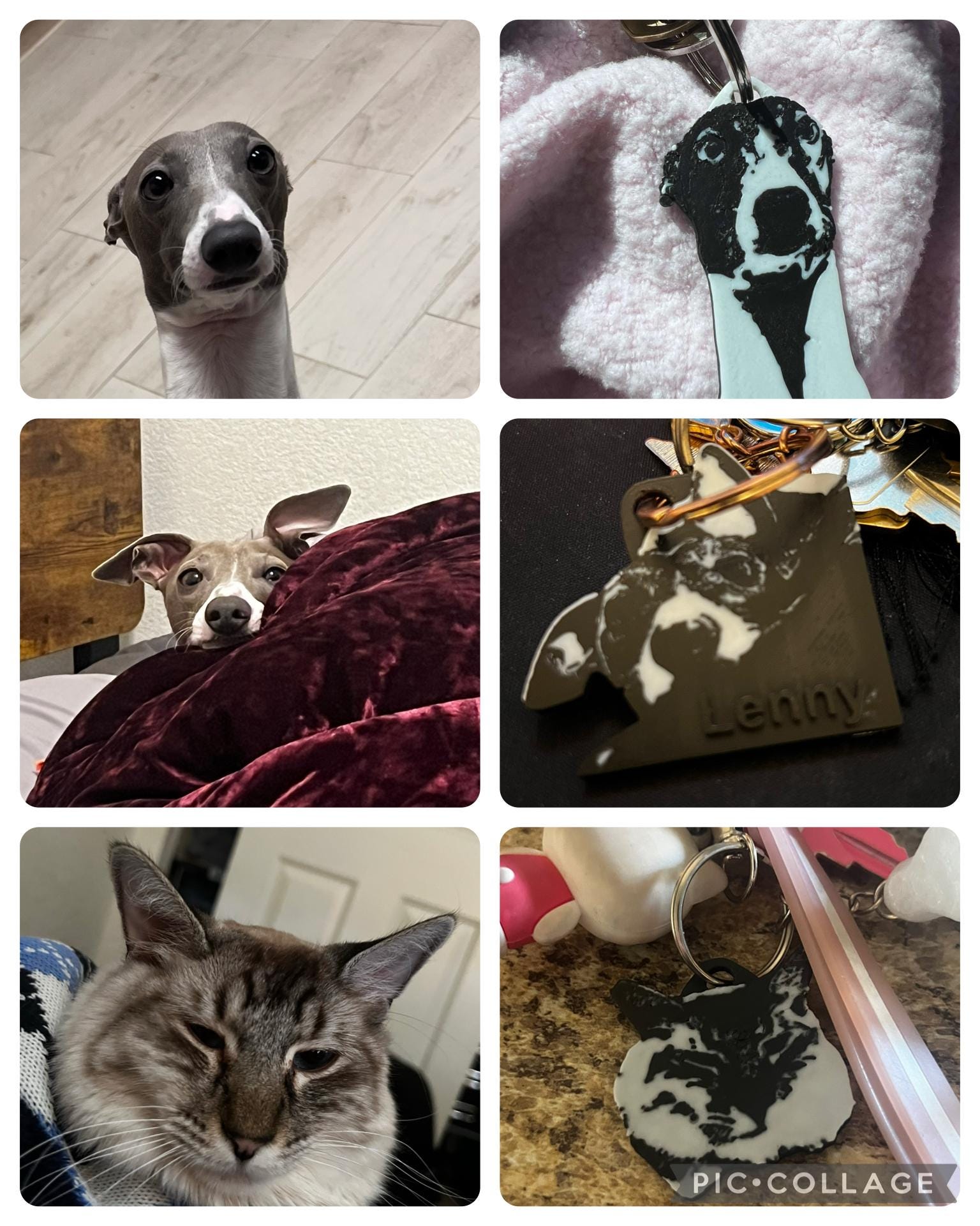 Custom 3d Printed Pet Keychains - Etsy