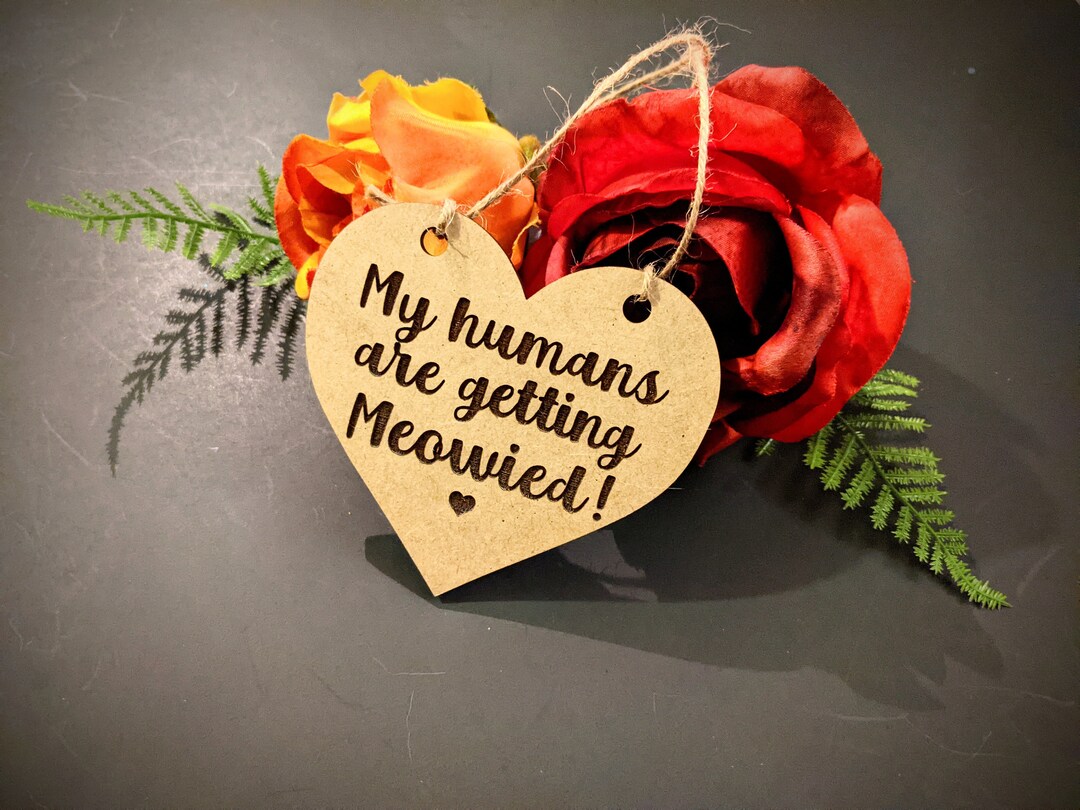 My Humans Are Getting Meowied Wooden Cat Sign. Engagement Shoot Prop ...