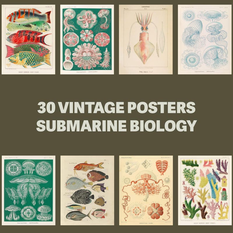 Octopus Scientific Poster - Etsy