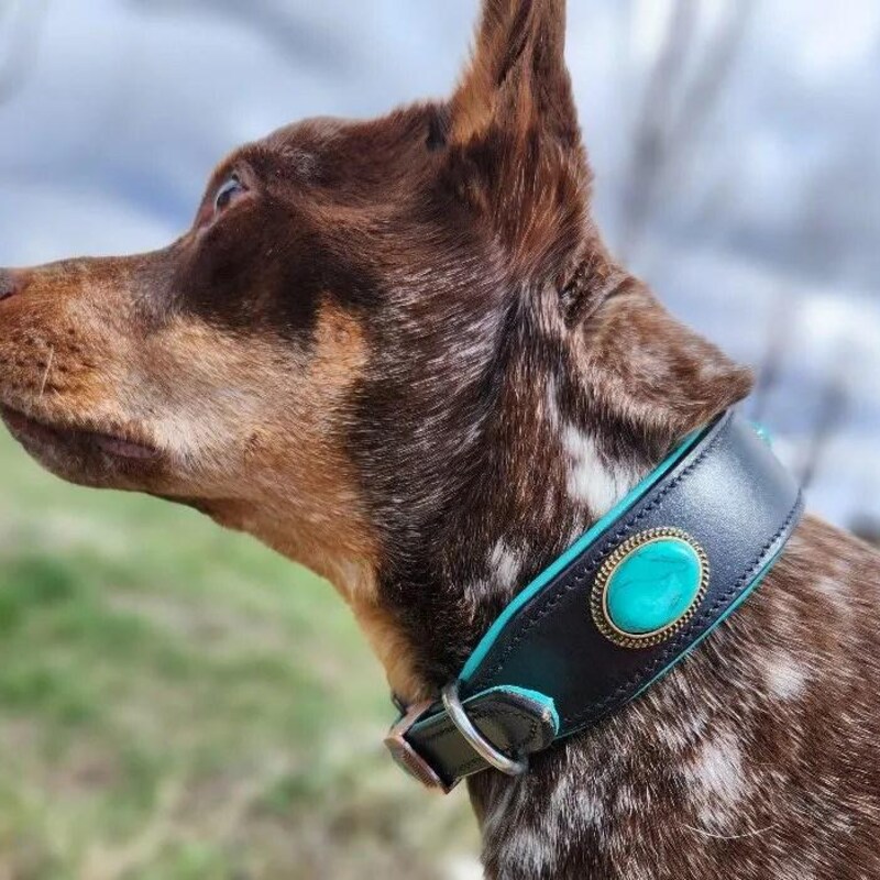 Turquoise Dog Collar - Etsy