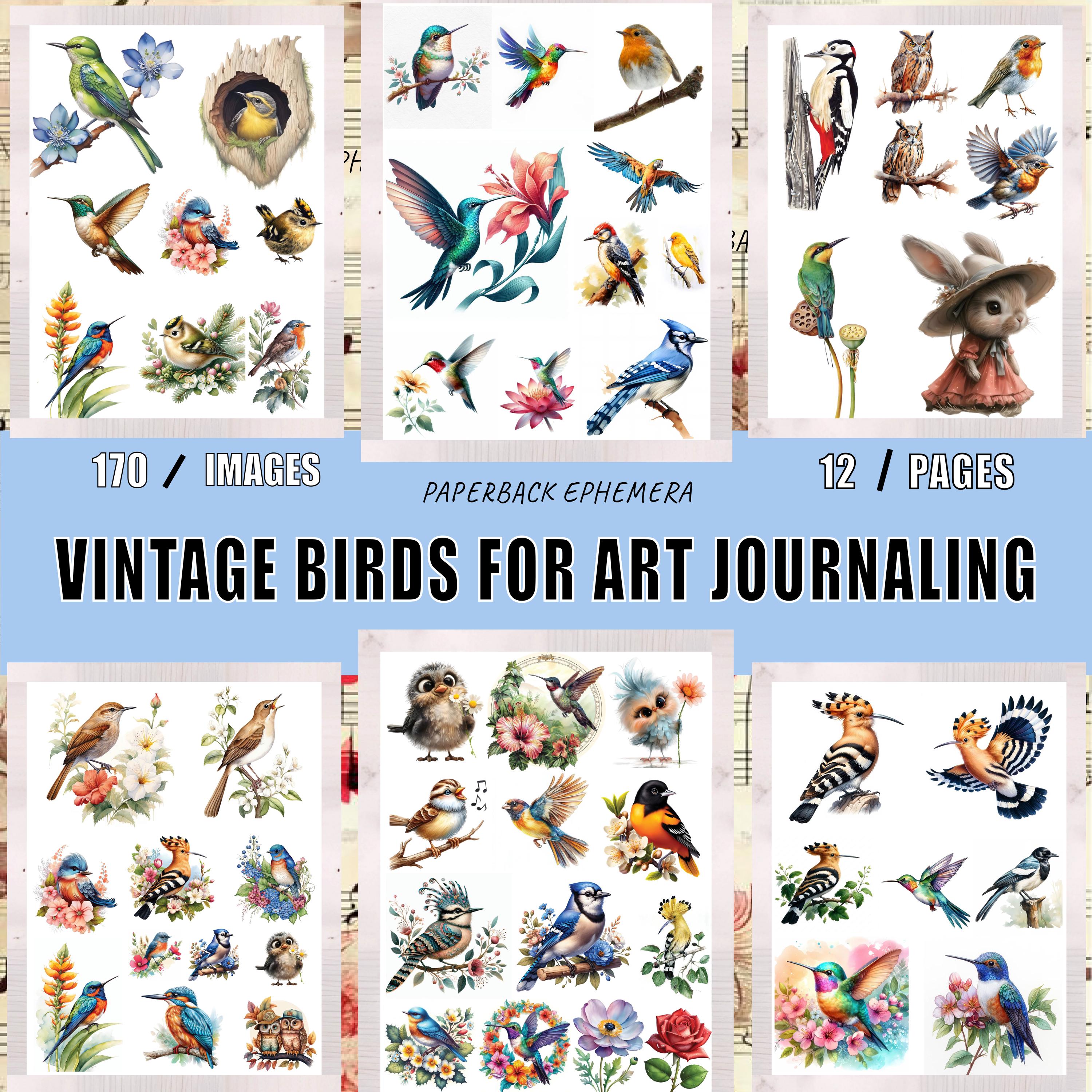 Vintage Bird Junk Journal Kit – Printable Antique Bird & Floral ...