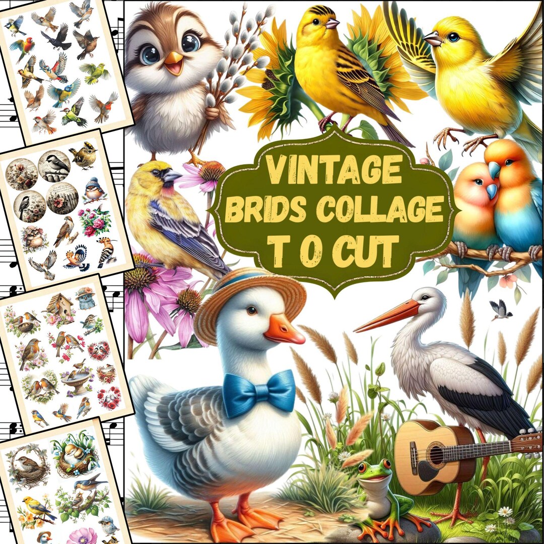 Vintage Bird Ephemera, Digital File, Scraps, Junk Journal Printable ...