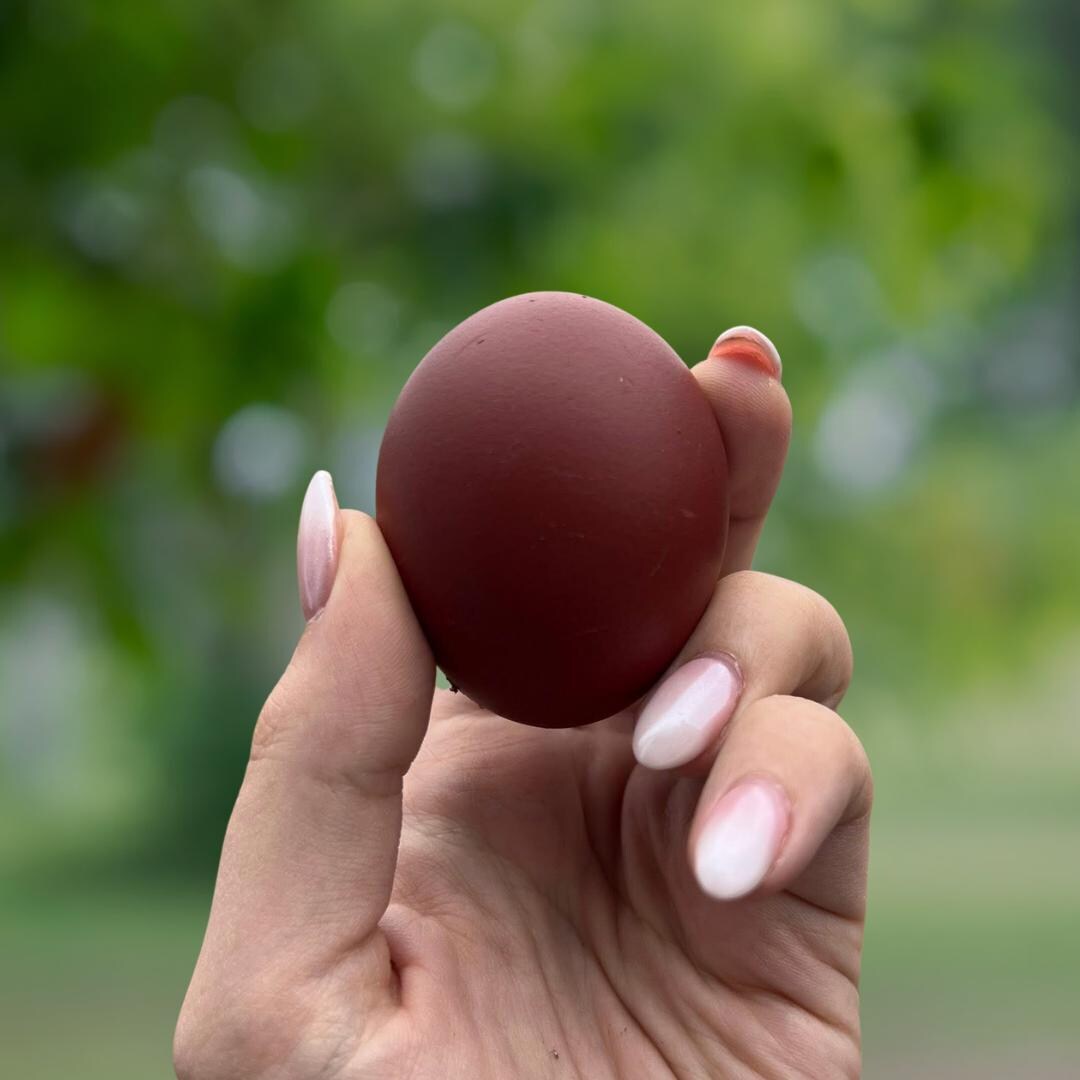 Chocolate Eggers & Black Copper Maran Eggs | Farm Fresh Eggs - Etsy